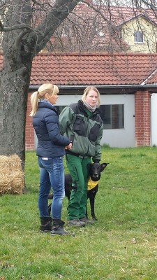 Tierheimverein Erfurt